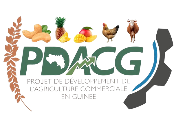 APIP Guinée – Votre partenaire pour investir en Guinée